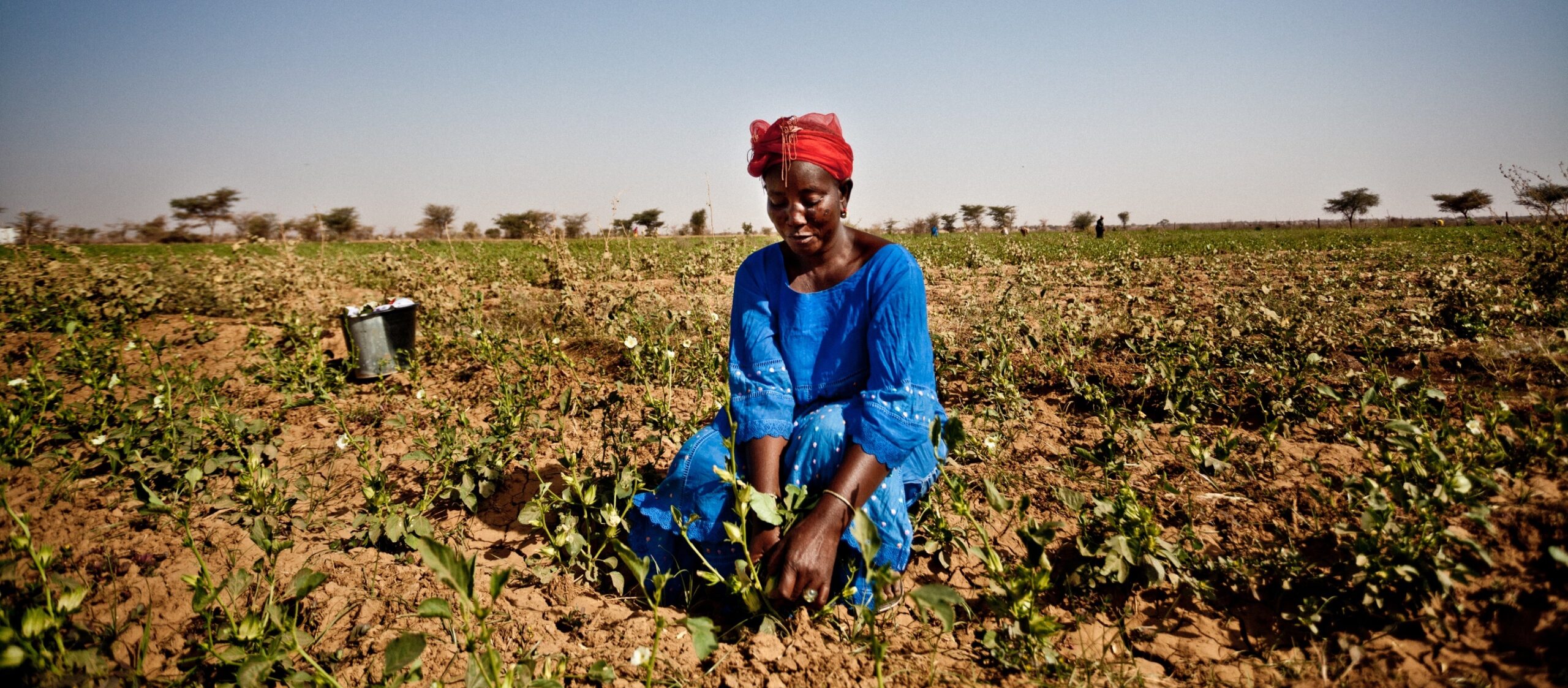 Right to Food - Climate Rights International